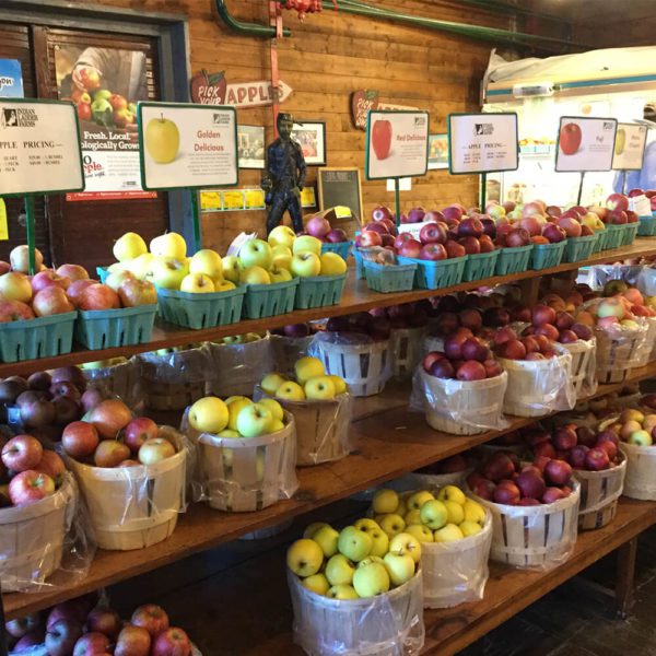 Farm Market - Indian Ladder Farms