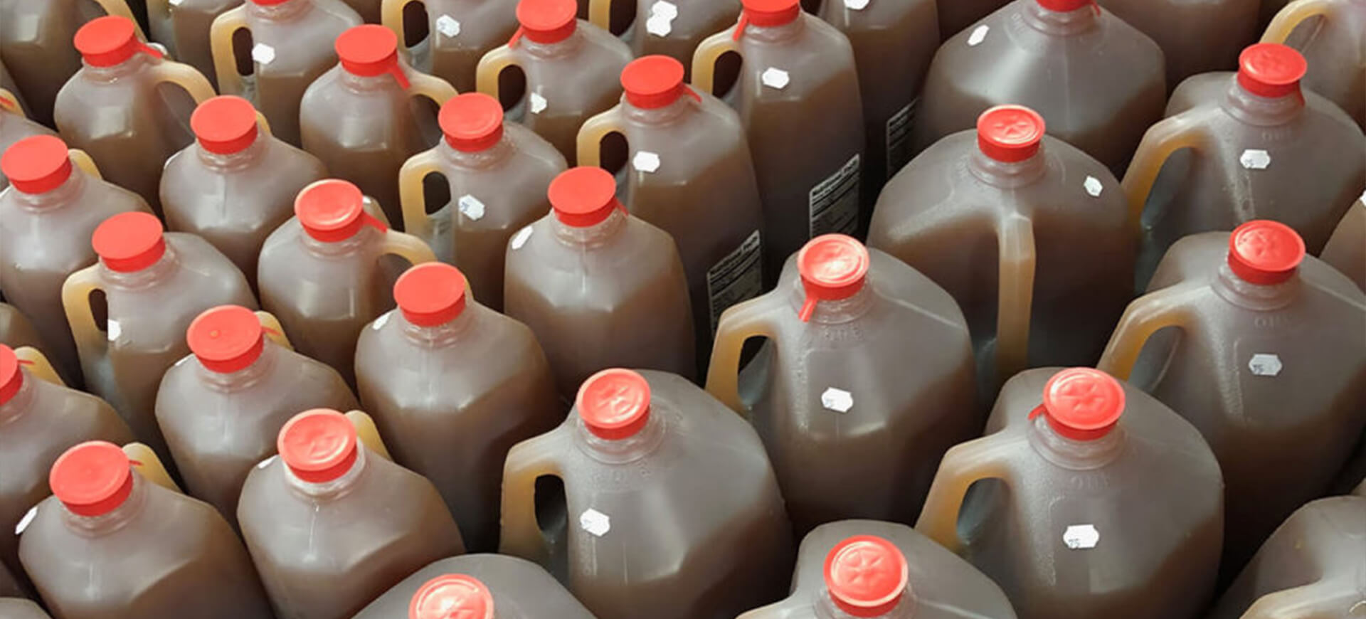 ILF Wholesale - Indian Ladder Farms