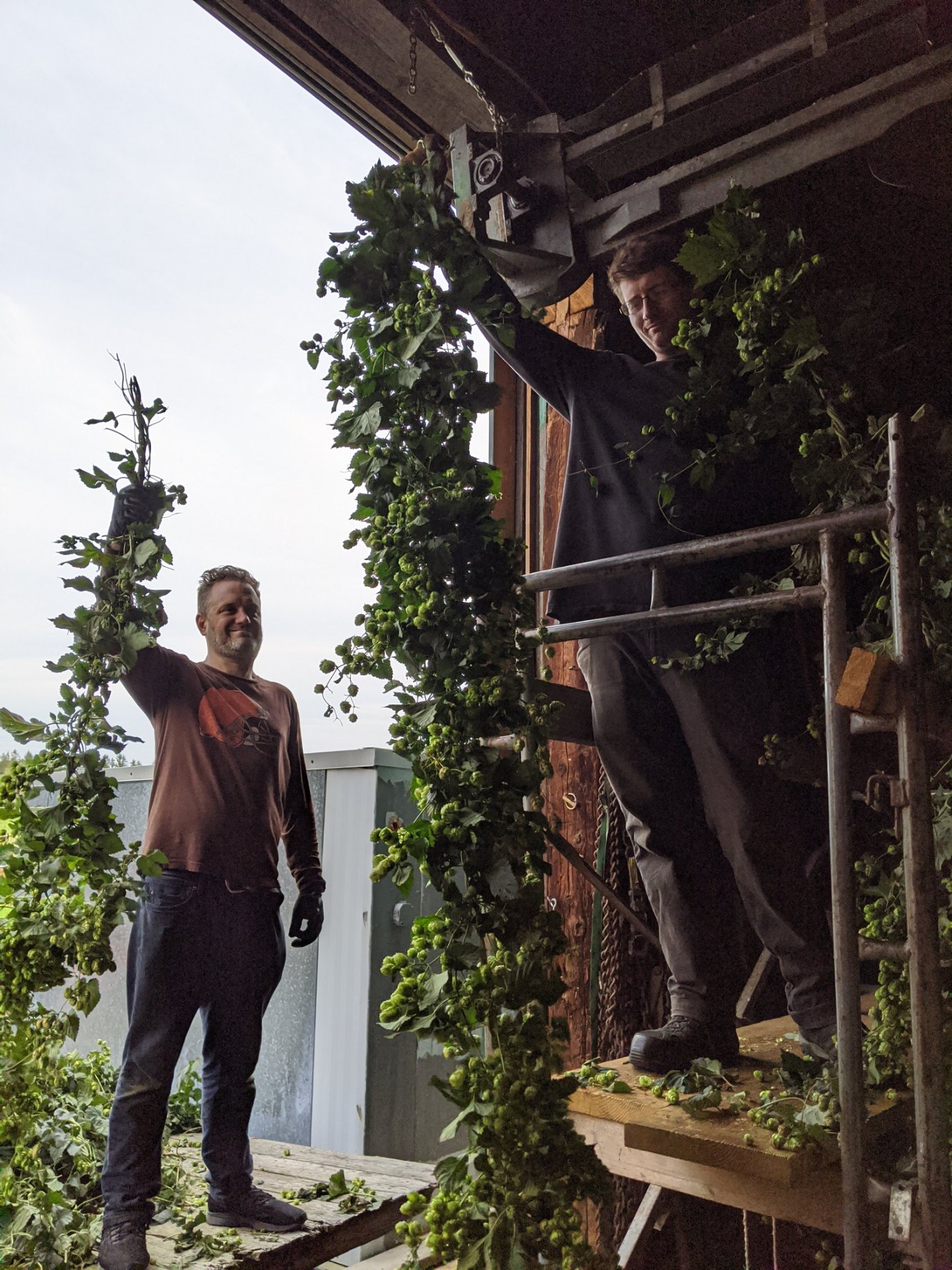 Agriculture - Indian Ladder Farms