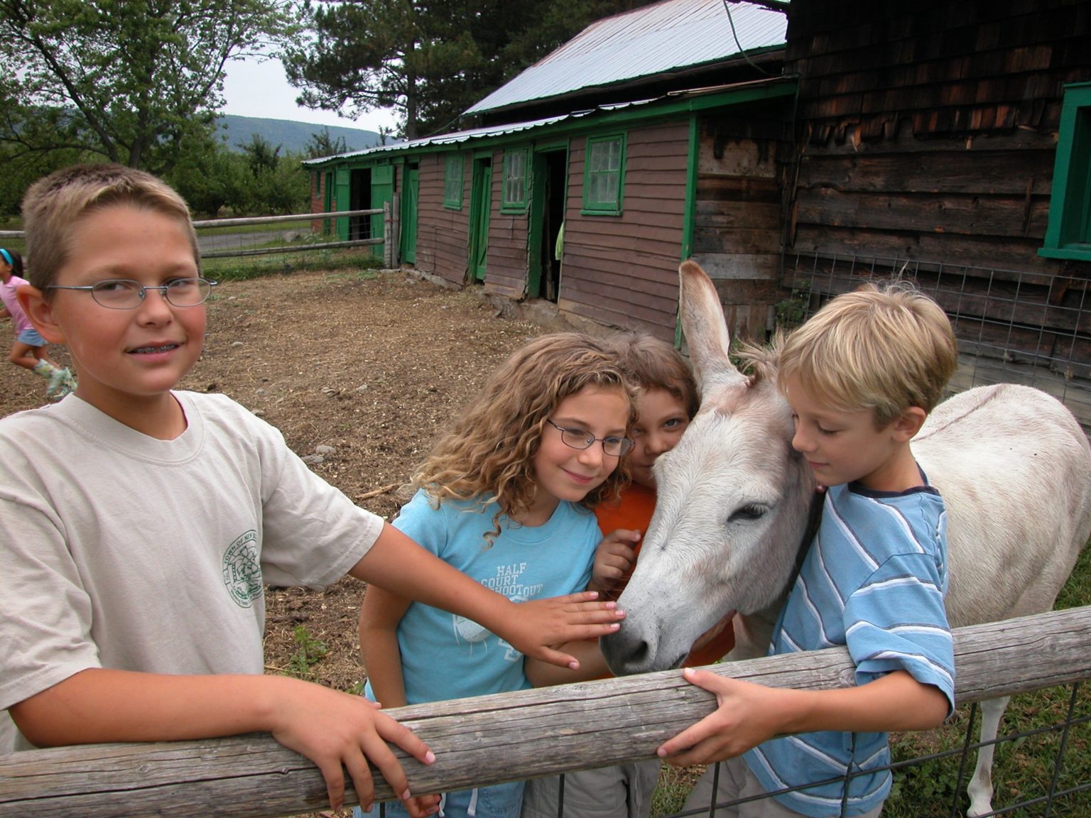 Barn School - Indian Ladder Farms