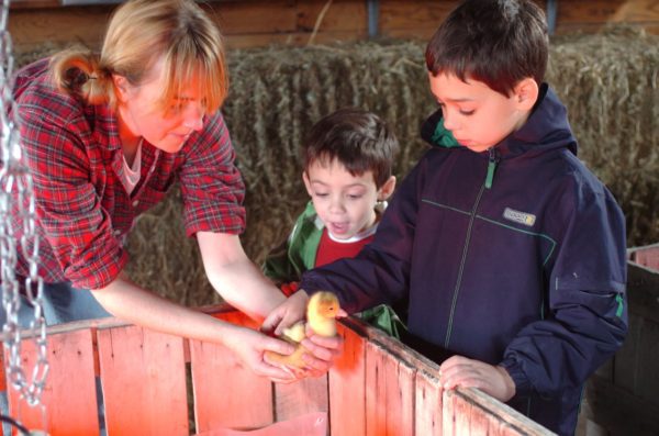 Annual Special Events - Indian Ladder Farms