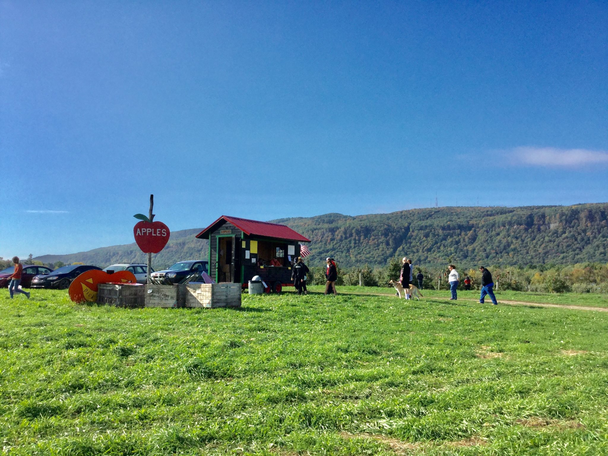 Pick Your Own - Indian Ladder Farms