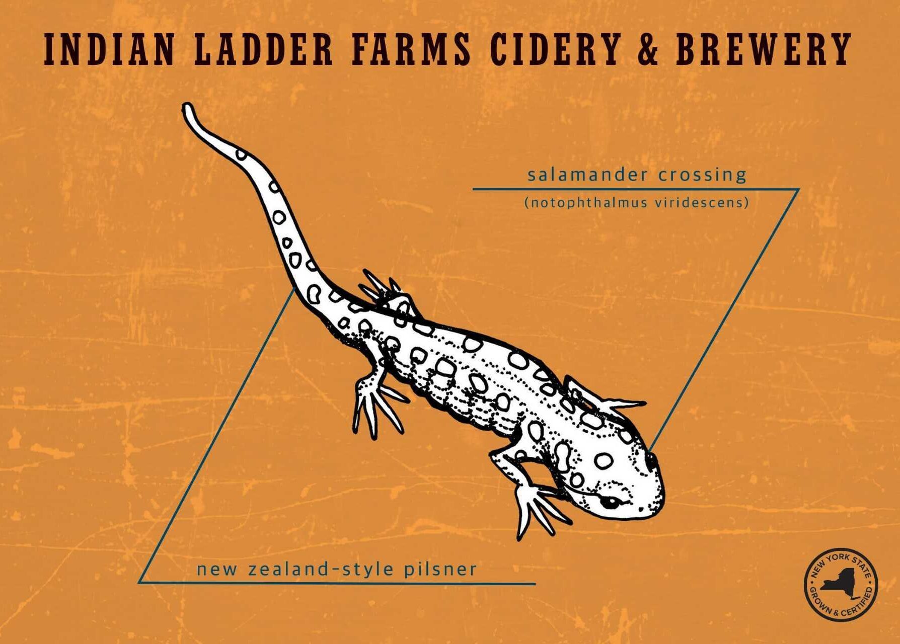 Salamander Crossing - Indian Ladder Farms