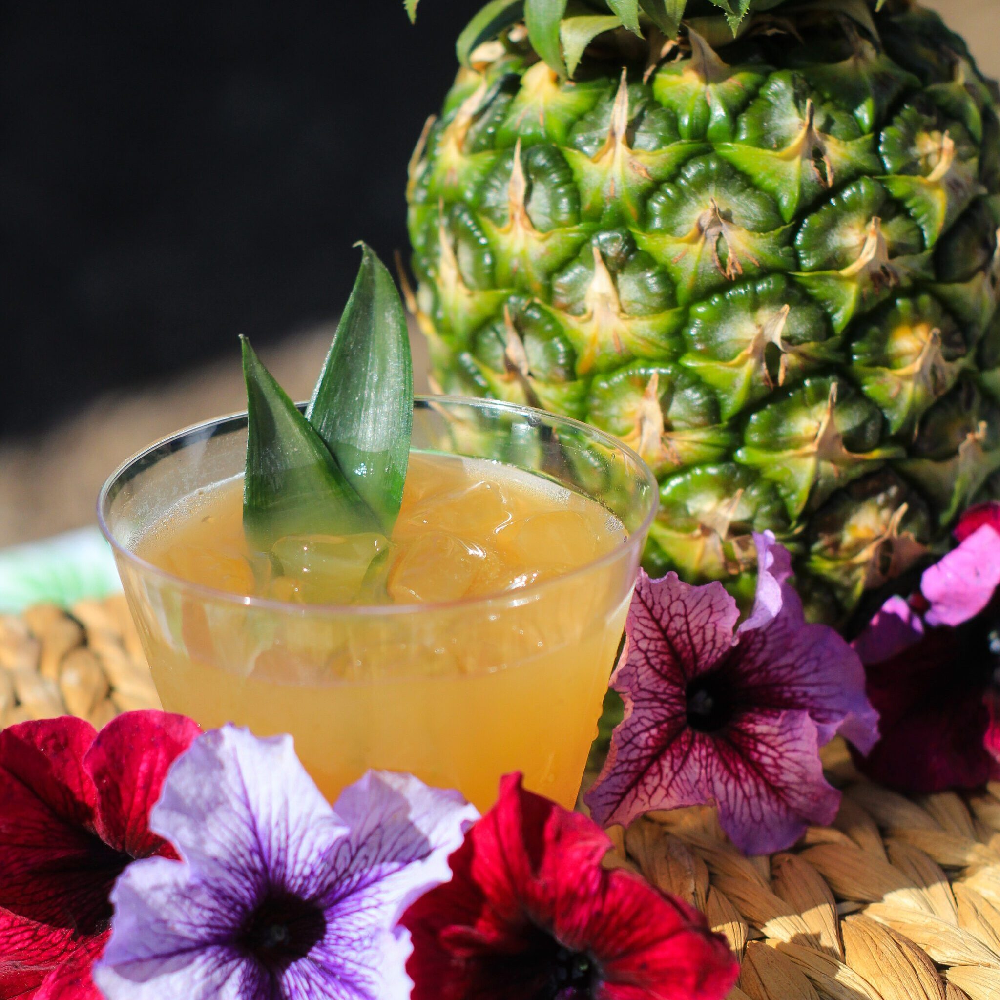 HawaiianOktoberfest - Indian Ladder Farms